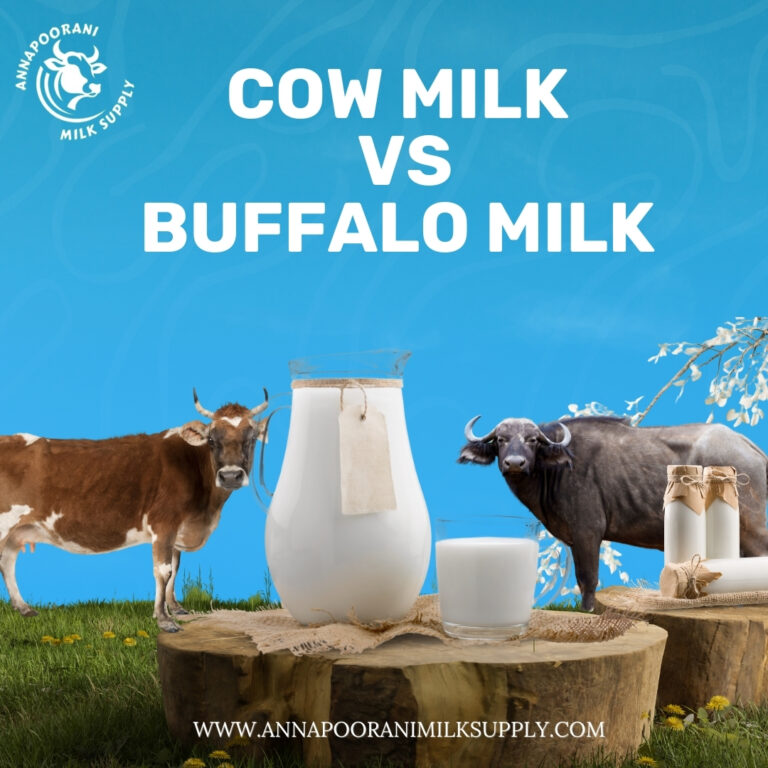 Cow Milk vs Buffalo Milk: Which One is Better For You?